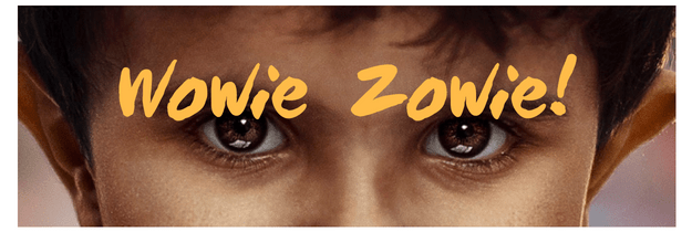 #52weeks52stories Wowie Zowie! – Felicia Denise, Author